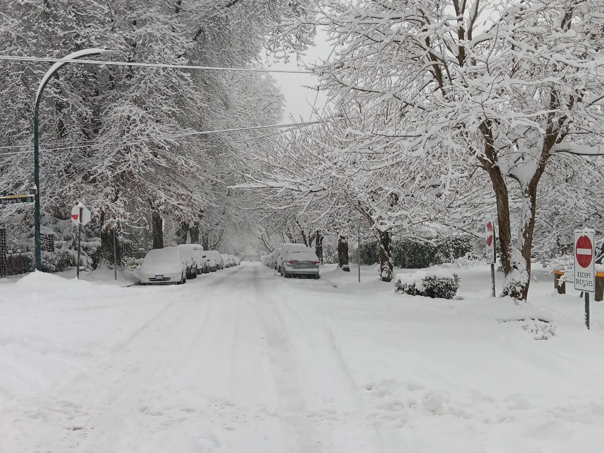 Photos: Heavy snow hits Western Canada, closes schools and cuts power ...