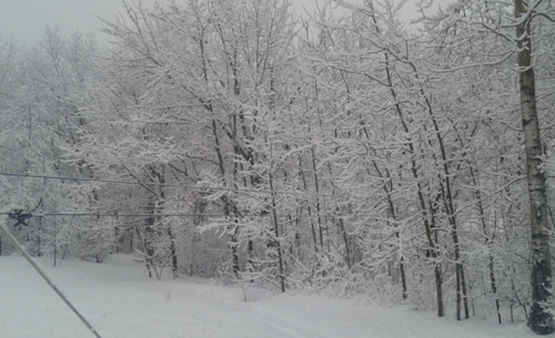 Snowy start to the week expected for parts of southern Quebec - The ...