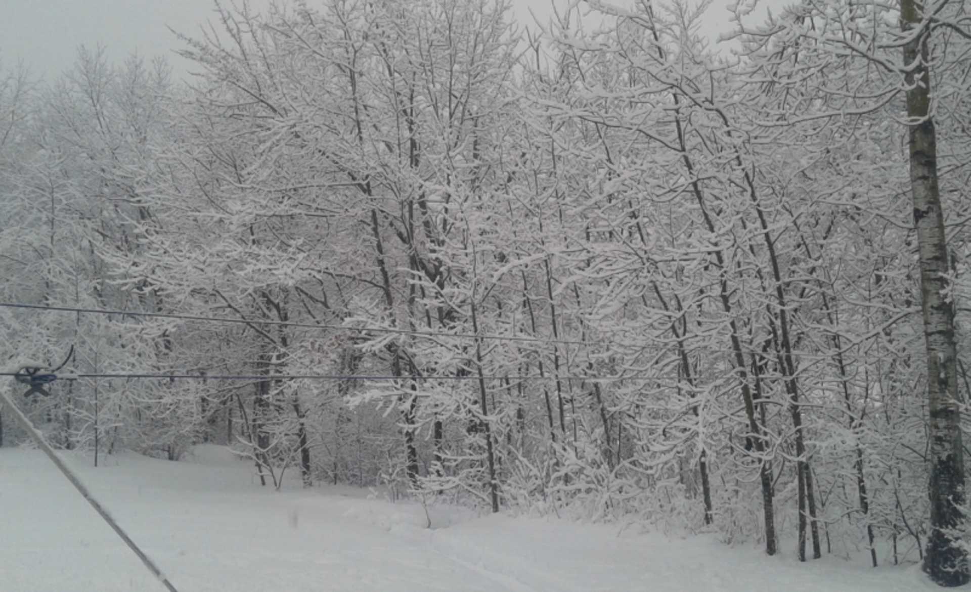Snowy start to the week expected for parts of southern Quebec - The ...