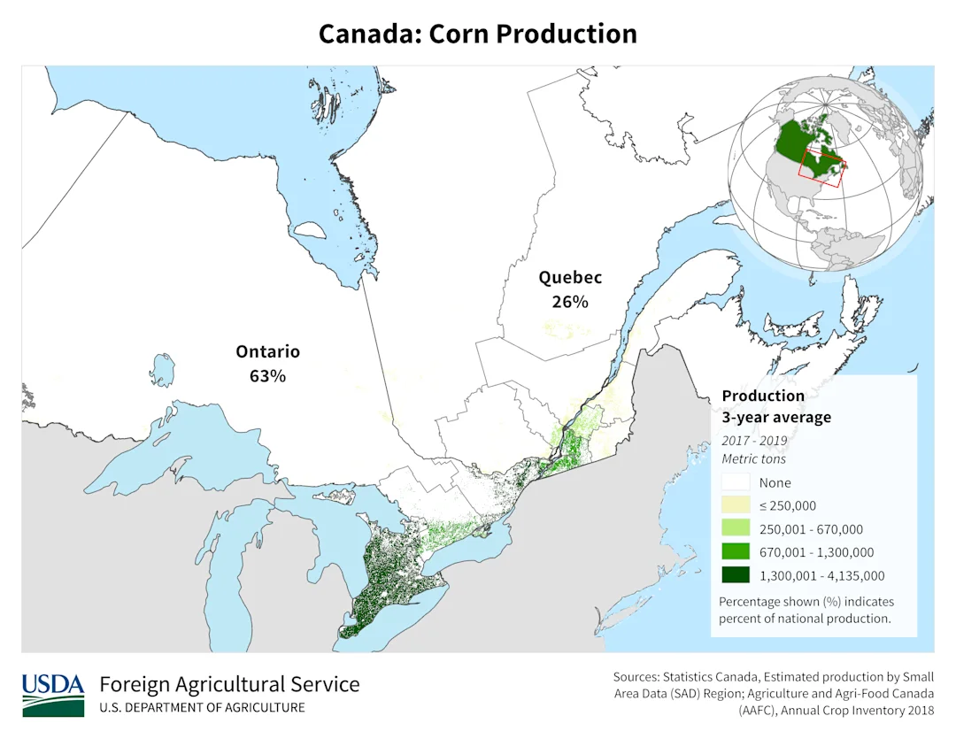 Tired of humidity? Blame corn sweat for the muggy air - The Weather Network