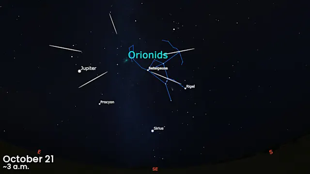 A meteor storm and an alien comet could be the 'stars' in the sky this ...