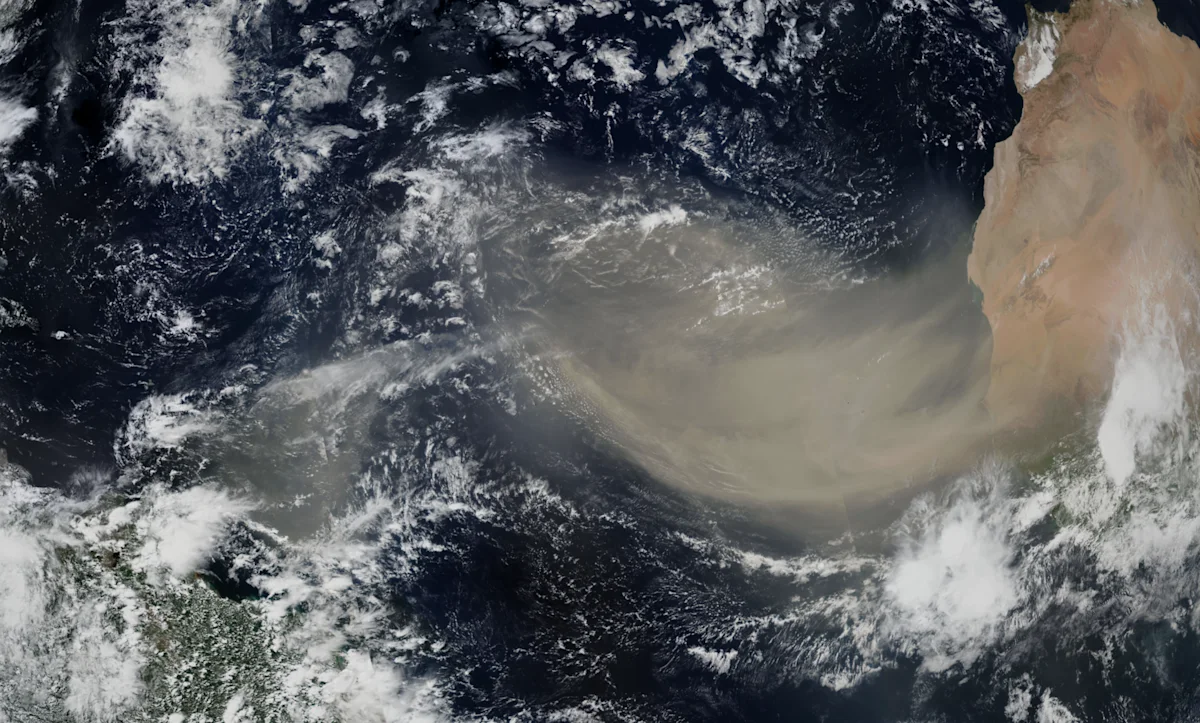 Saharan dust can make or break a monstrous Atlantic hurricane - The ...