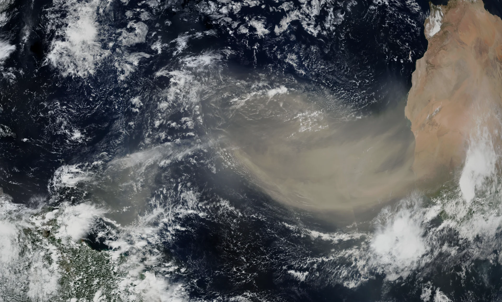 Saharan dust can make or break a monstrous Atlantic hurricane - The ...