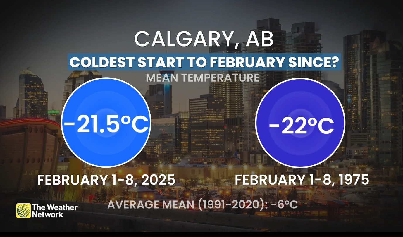 Calgary sees coldest start to February in 50 years, with more Arctic ...
