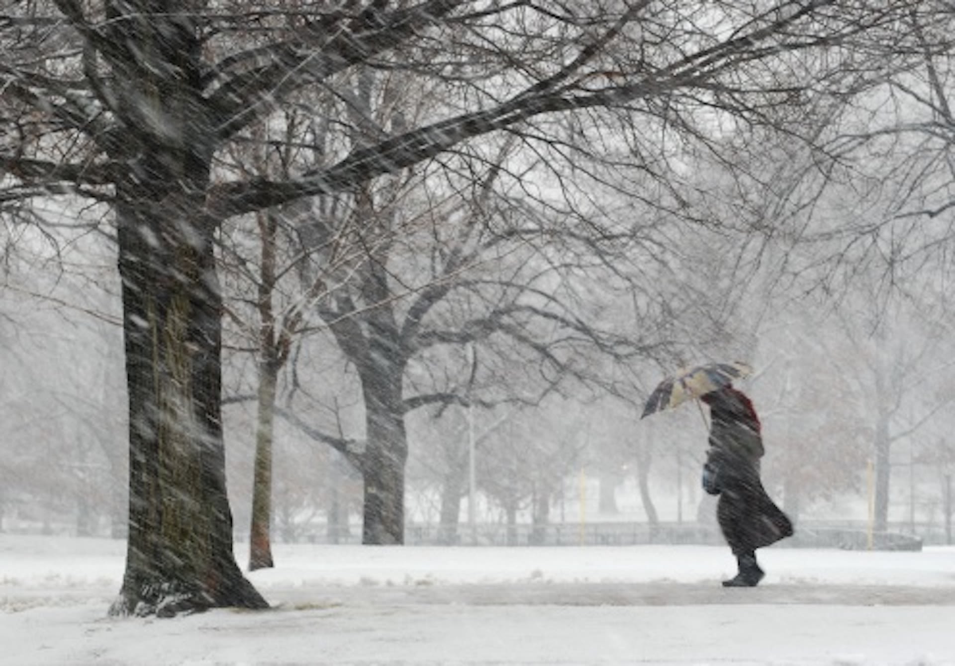 Intense squalls could bury this major city under 100+ cm of snow - The ...