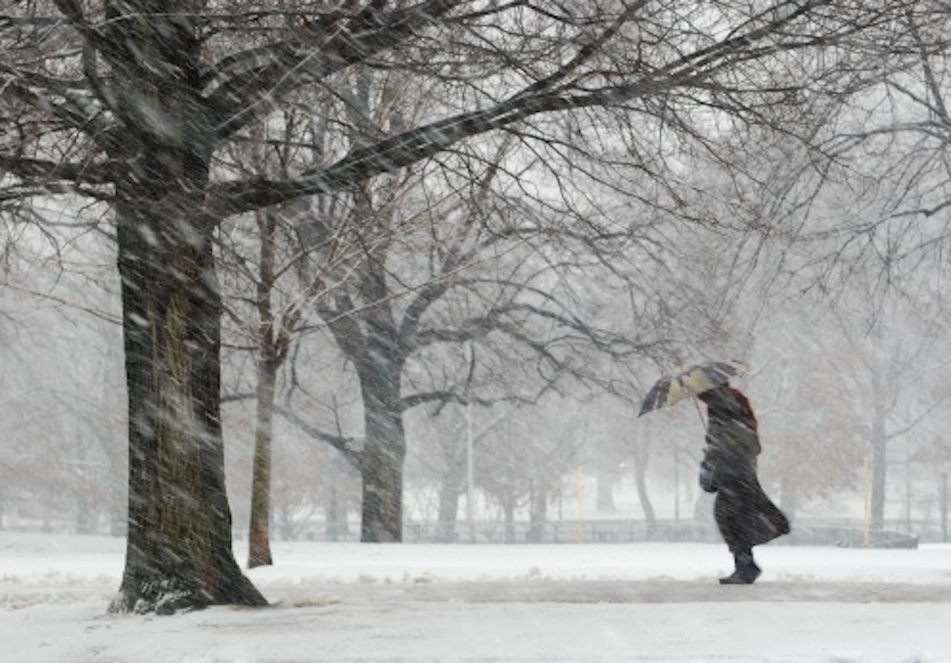 PHOTOS: Snow squalls remnant of winter storm bury parts of southern ...