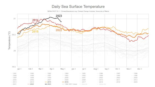 Ocean temperatures now hotter than ever recorded. El Niño will drive ...