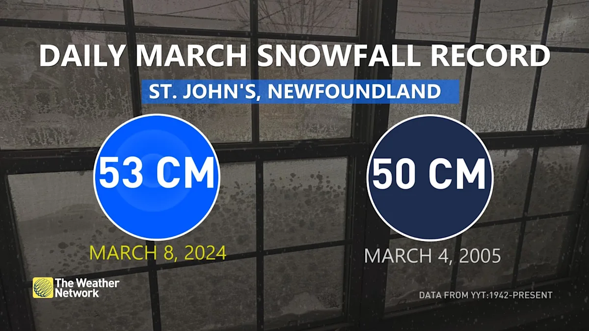 N.L. winter storm buries previous March snowfall record for St. John's ...