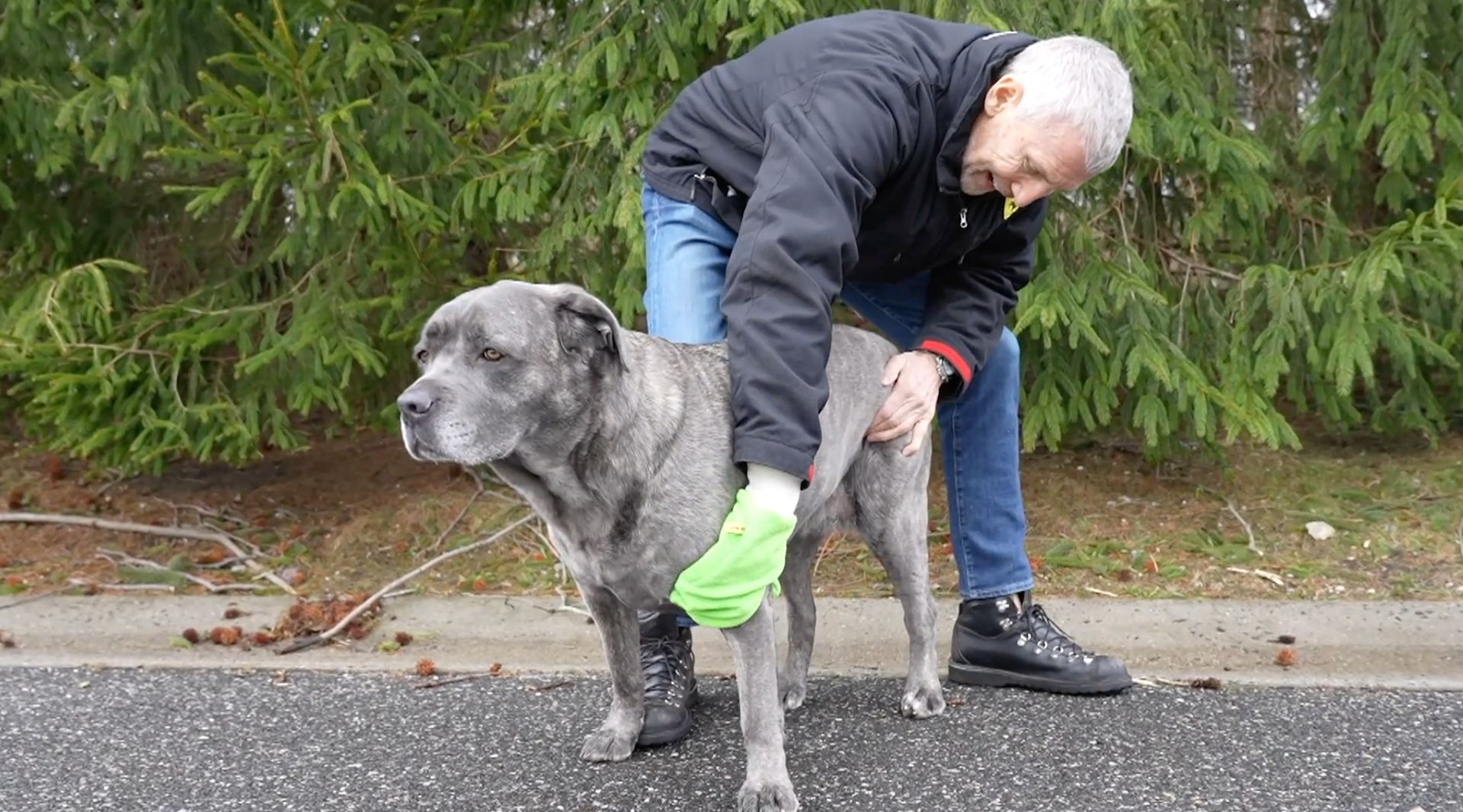 How a family health scare led to this revolutionary tick-removal mitt ...