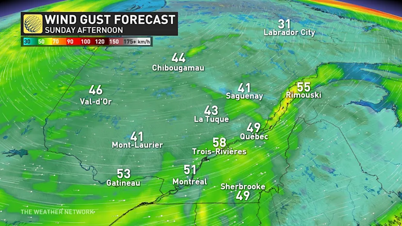Blowing snow will create treacherous travel in Quebec as storm winds ...