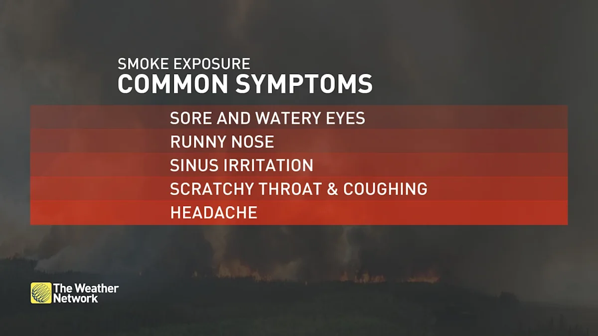 AQI, AQHI, and your health: Air quality ratings explained - The Weather ...
