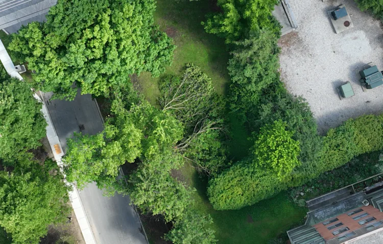 Two 'surprise' tornadoes hit southern Ontario as Beryl remnants passed ...