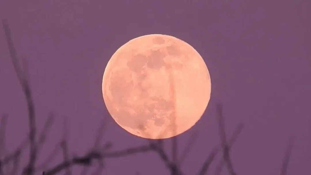 Look up tonight for the Full Pink Moon - The Weather Network