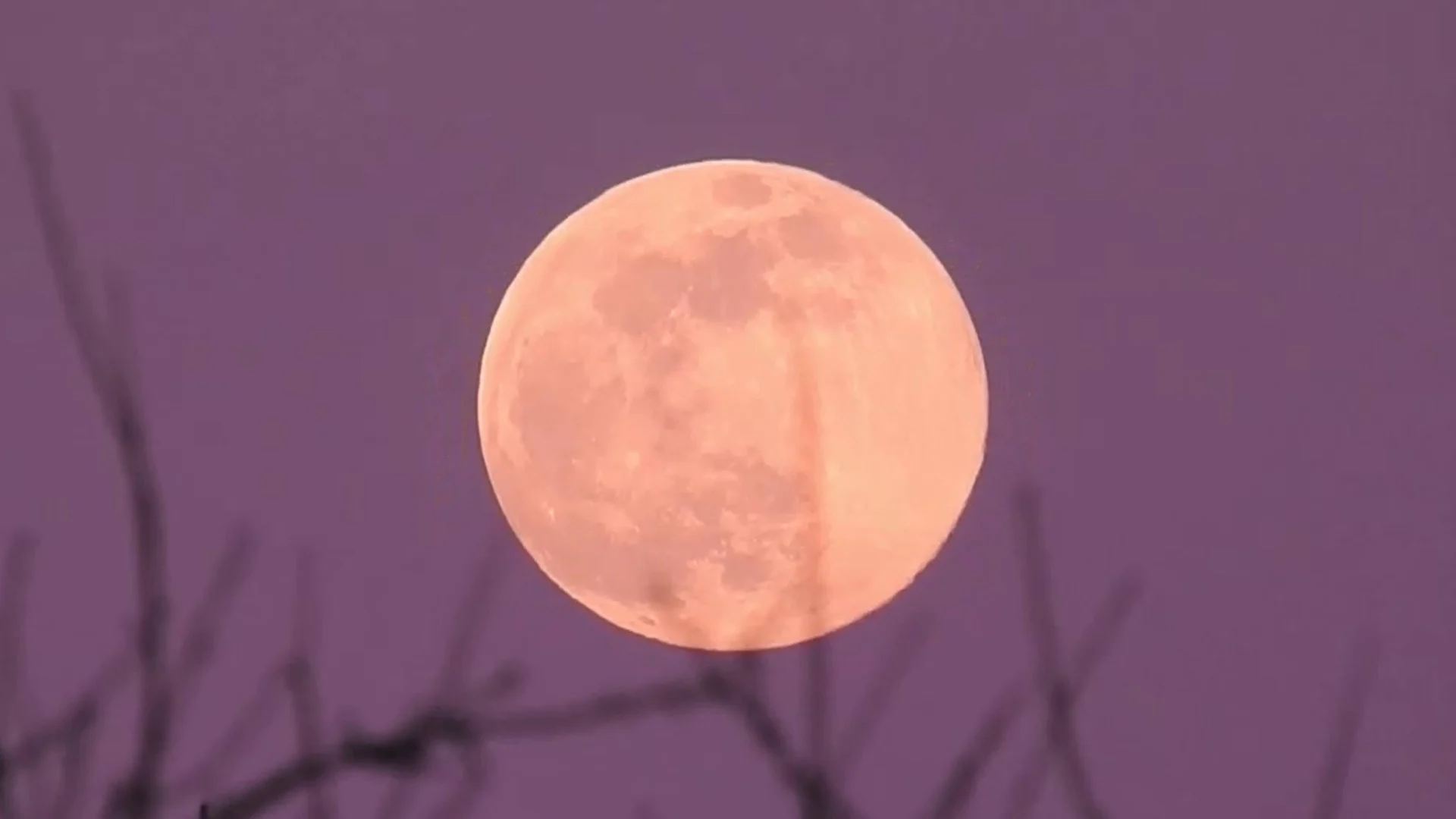 Look up tonight for the Full Pink Moon - The Weather Network