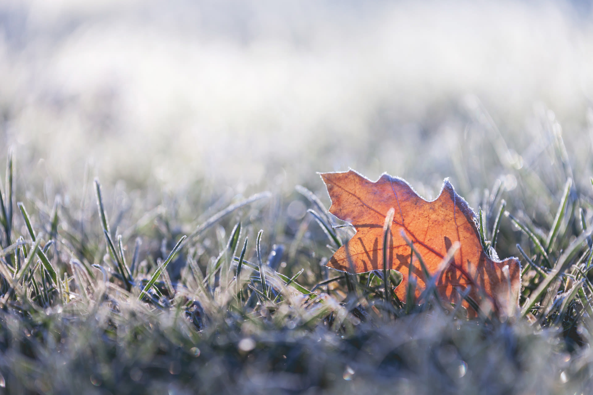 Tomorrow's Weather Québec city (Jan 04): Clear Skies, Frigid Temps ...