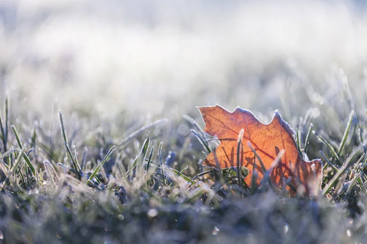 Tomorrow's Weather Québec city (Jan 04): Clear Skies, Frigid Temps ...