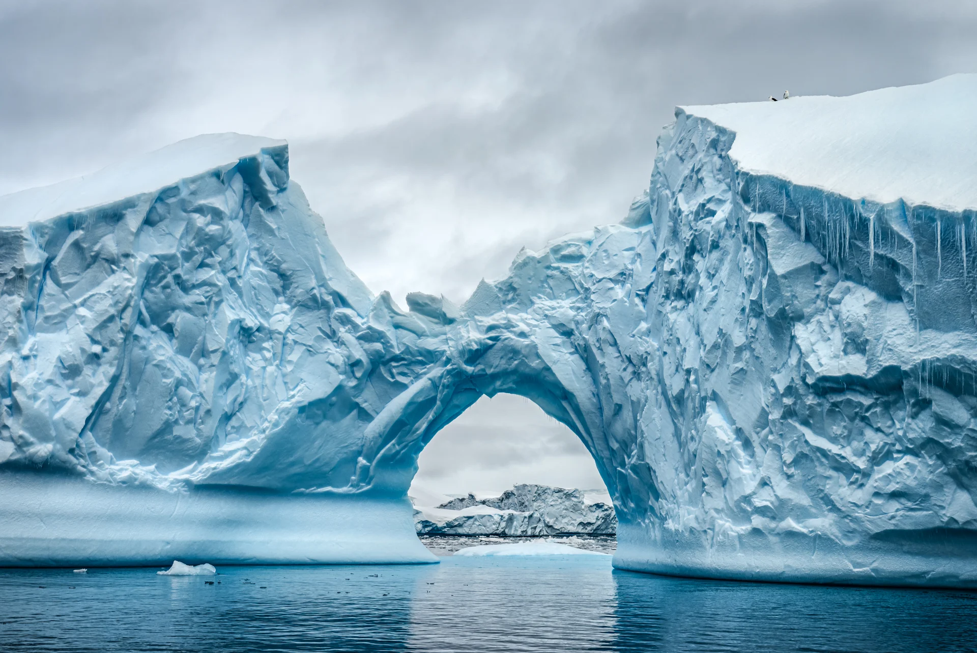 Climate change impacts on Antarctica captured as 'moments etched in ...