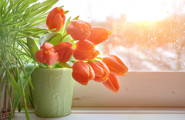 Flowers smell because they have an important job to do, according to ...