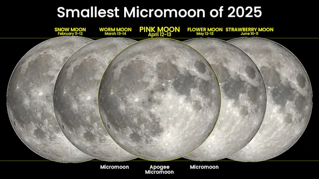 See a second full night of the Full Flower Moon tonight - The Weather ...