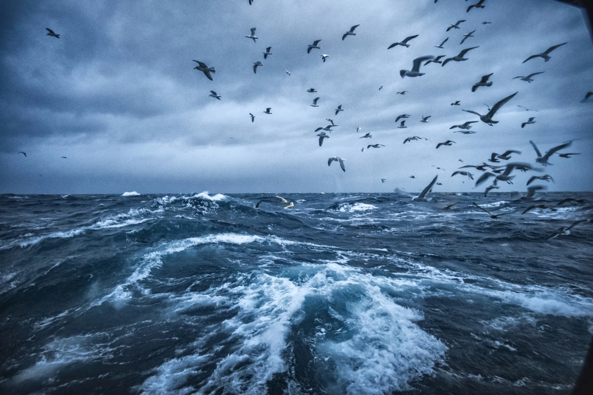 Quelle est la différence entre un océan et une mer? - MétéoMédia