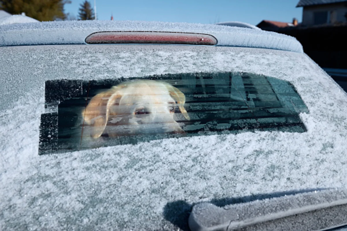 Polar vortex set to invade Canada and the U.S. with dangerous cold - The Weather Network