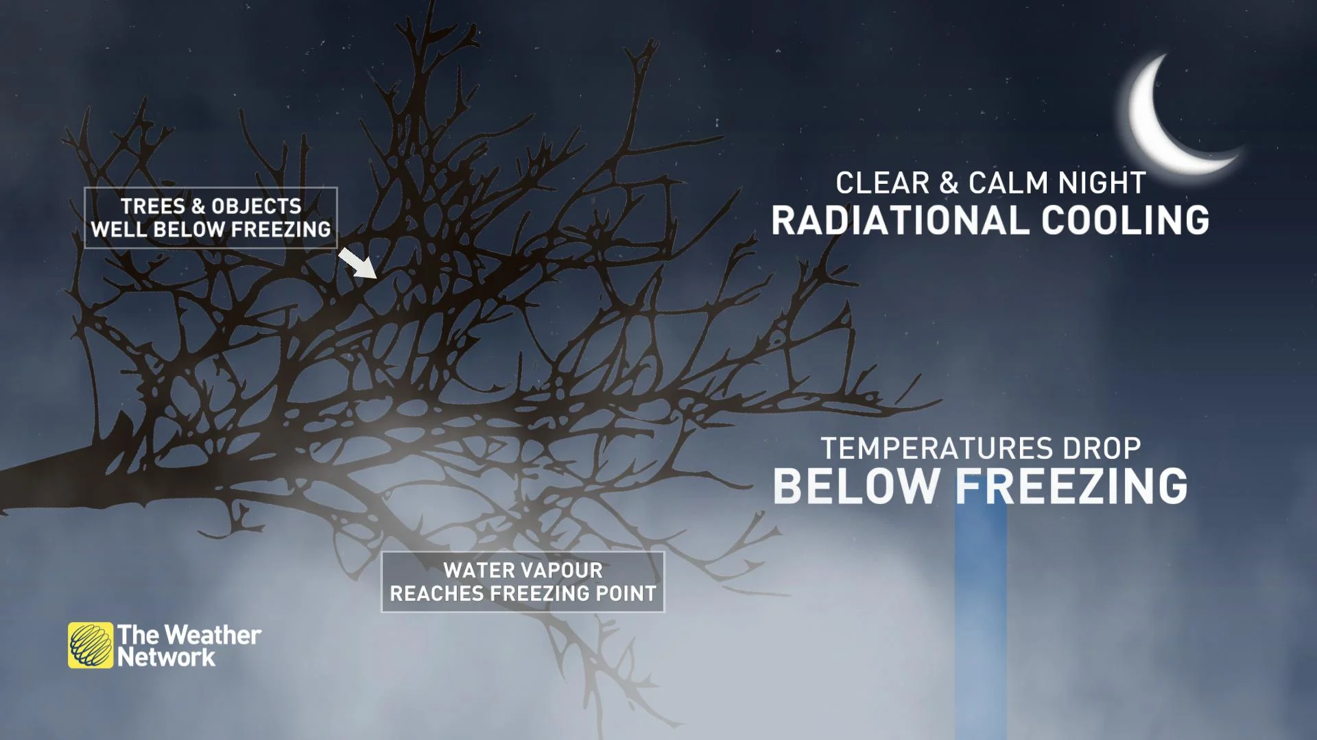 Hoar frost spotted in southwestern Ontario: What is it, exactly? - The ...