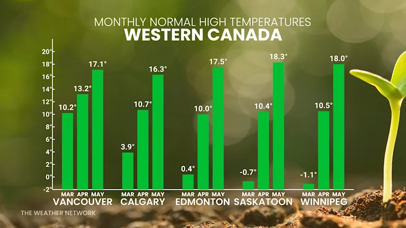 2025 Spring Forecast: Embrace a turbulent and truly Canadian season ...