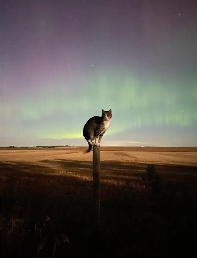 Canadians dazzled with stunning northern lights after strong weekend ...