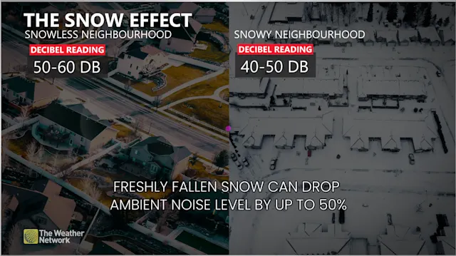 Snow’s hidden superpowers: More than meets the eye - The Weather Network