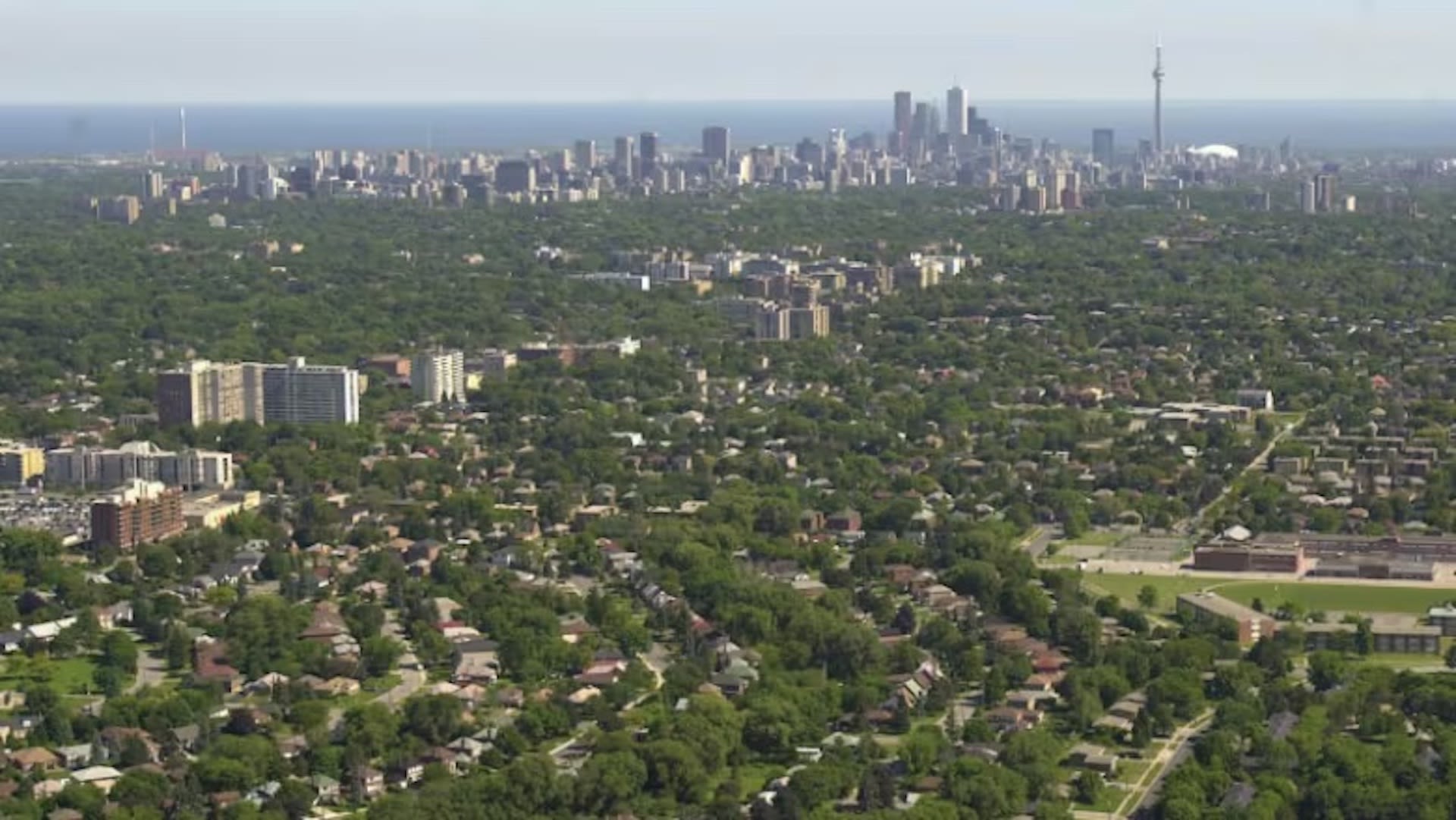 Toronto looks to expand tree canopy with planting on private land - The ...