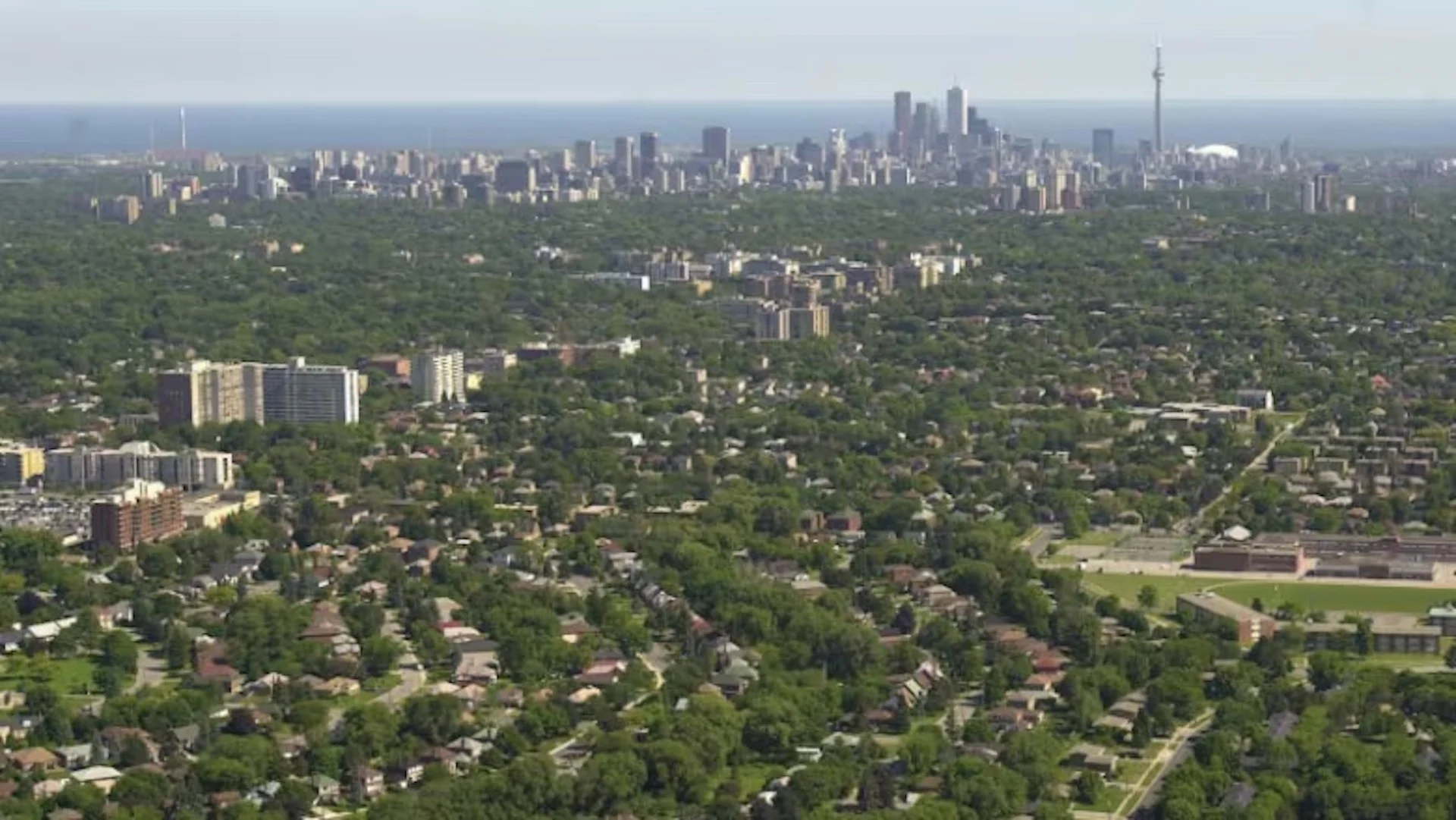 Toronto looks to expand tree canopy with planting on private land - The ...