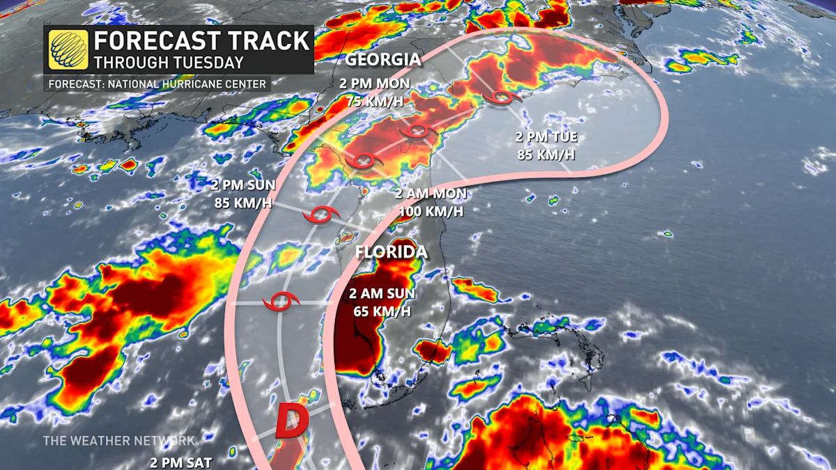 Tropical storm warnings issued as growing system nears Florida - The ...