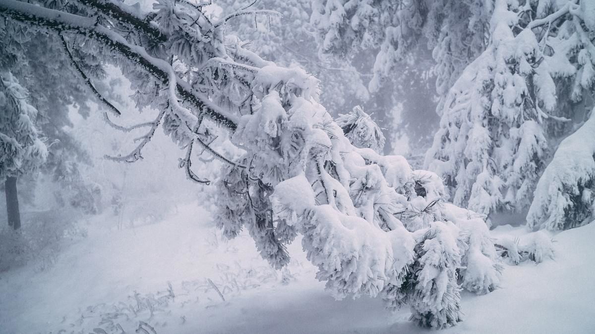 30 cm of snow in May? It could happen in this part of Canada - The ...