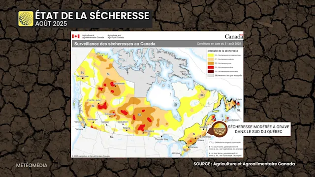 Jours sans pluie au Québec : le temps sec n'a pas dit son dernier mot ...