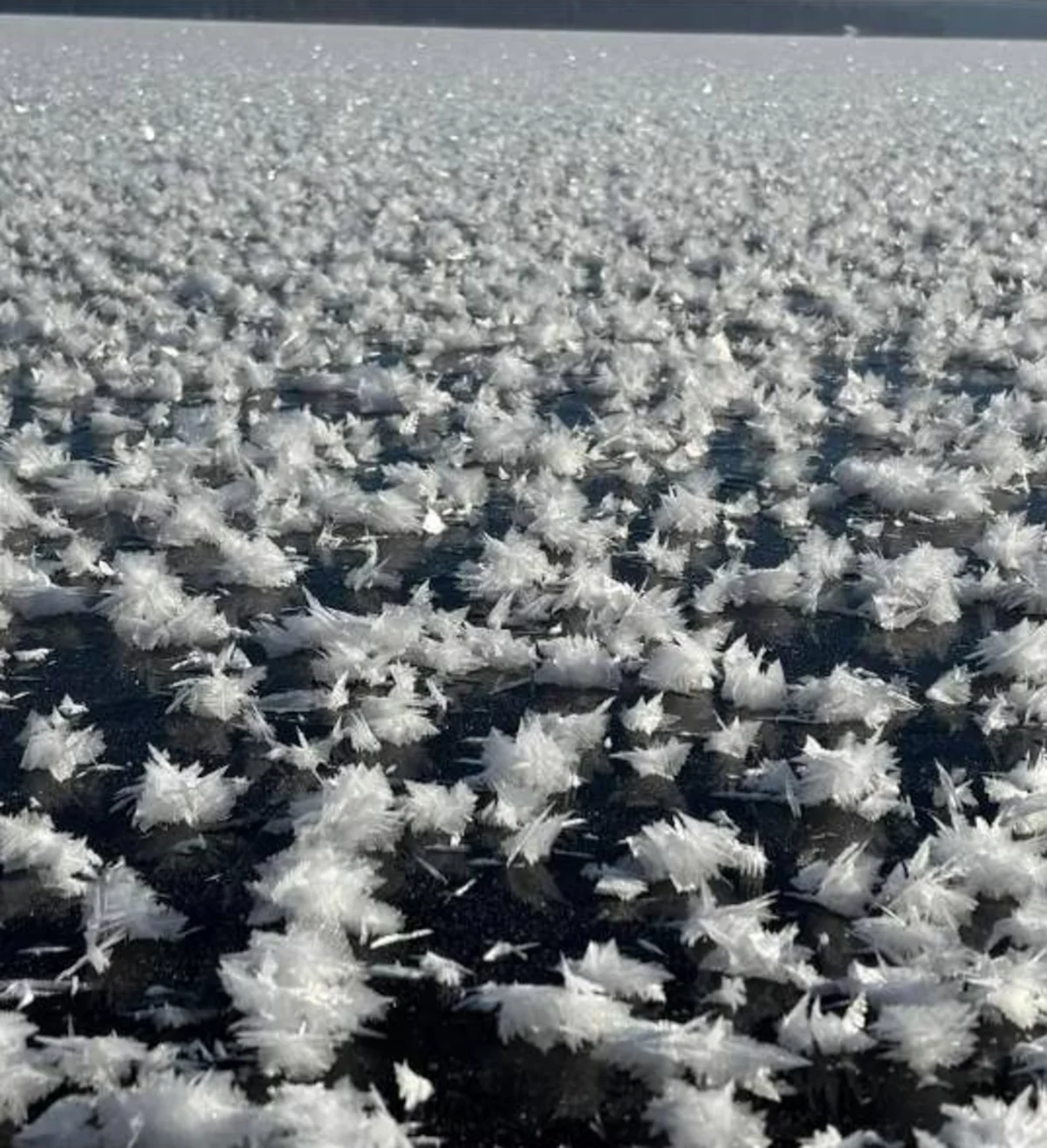 Cold snap good news for huge ice wall being built in Edmonton - The ...