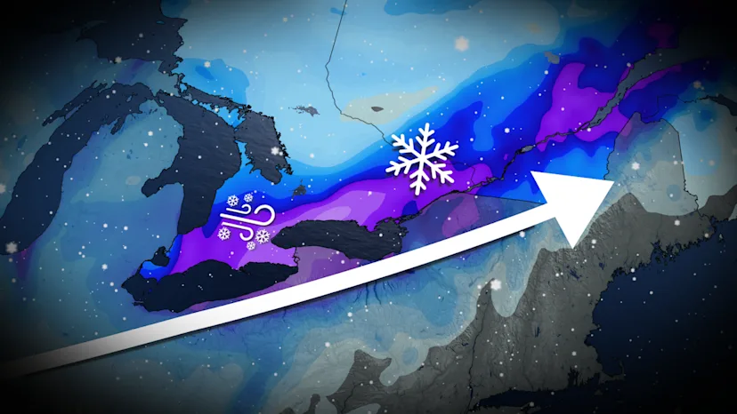 Winter storm forces REM closure, wreaks havoc on roads around Montreal ...