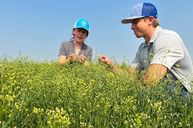 Canadian farmers discuss the challenges of extreme weather and 'flash ...