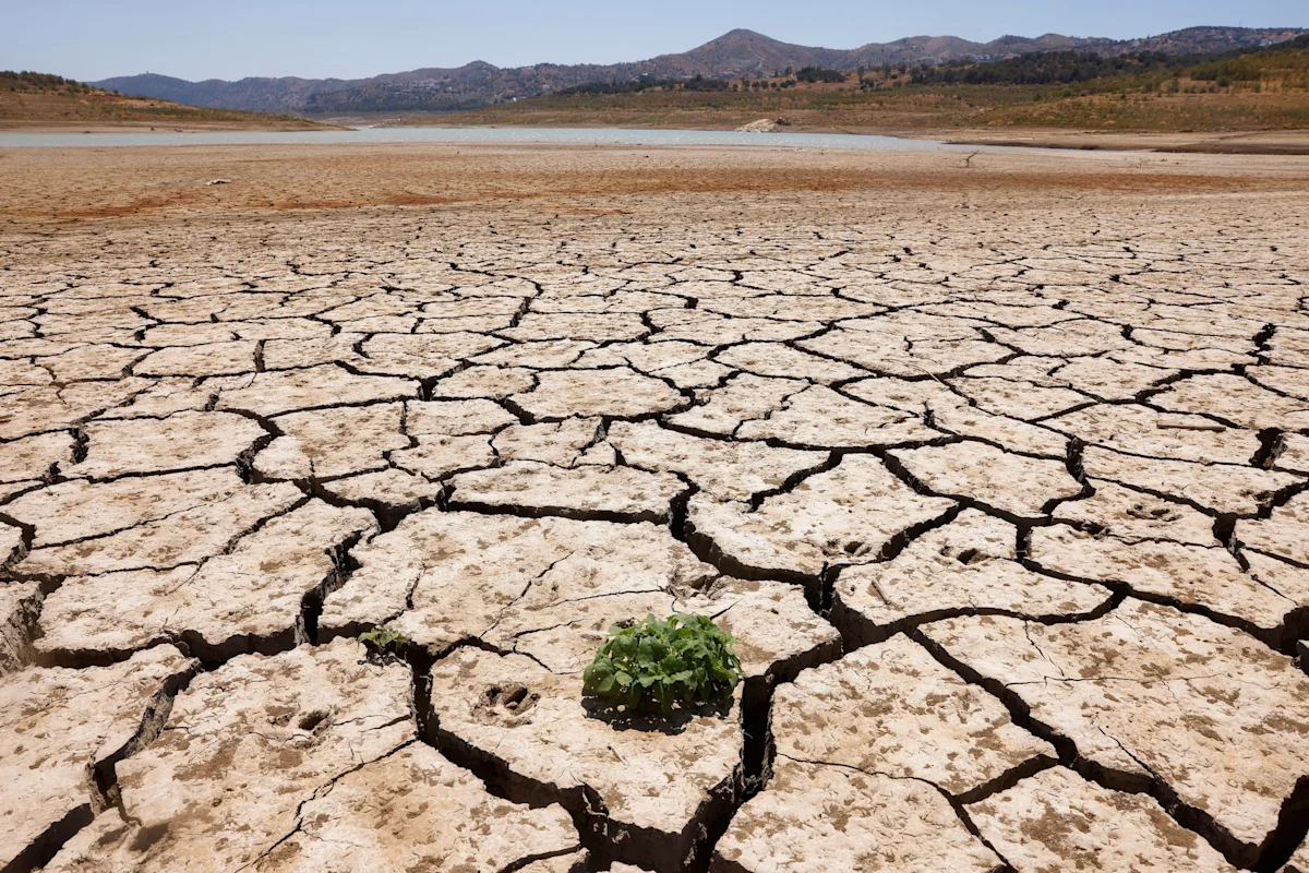 Is Earth really getting too hot for people to survive? - The Weather ...