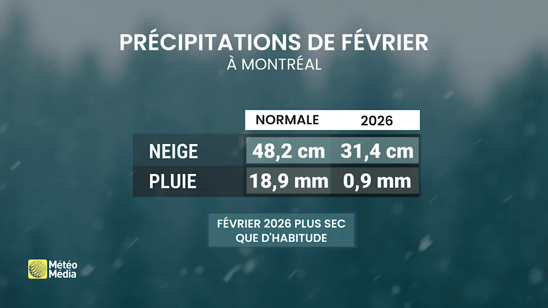 Février : le monde à l’envers au thermomètre - MétéoMédia