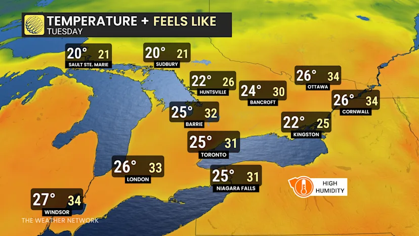 May heat arrives in southern Ontario this weekend - The Weather Network