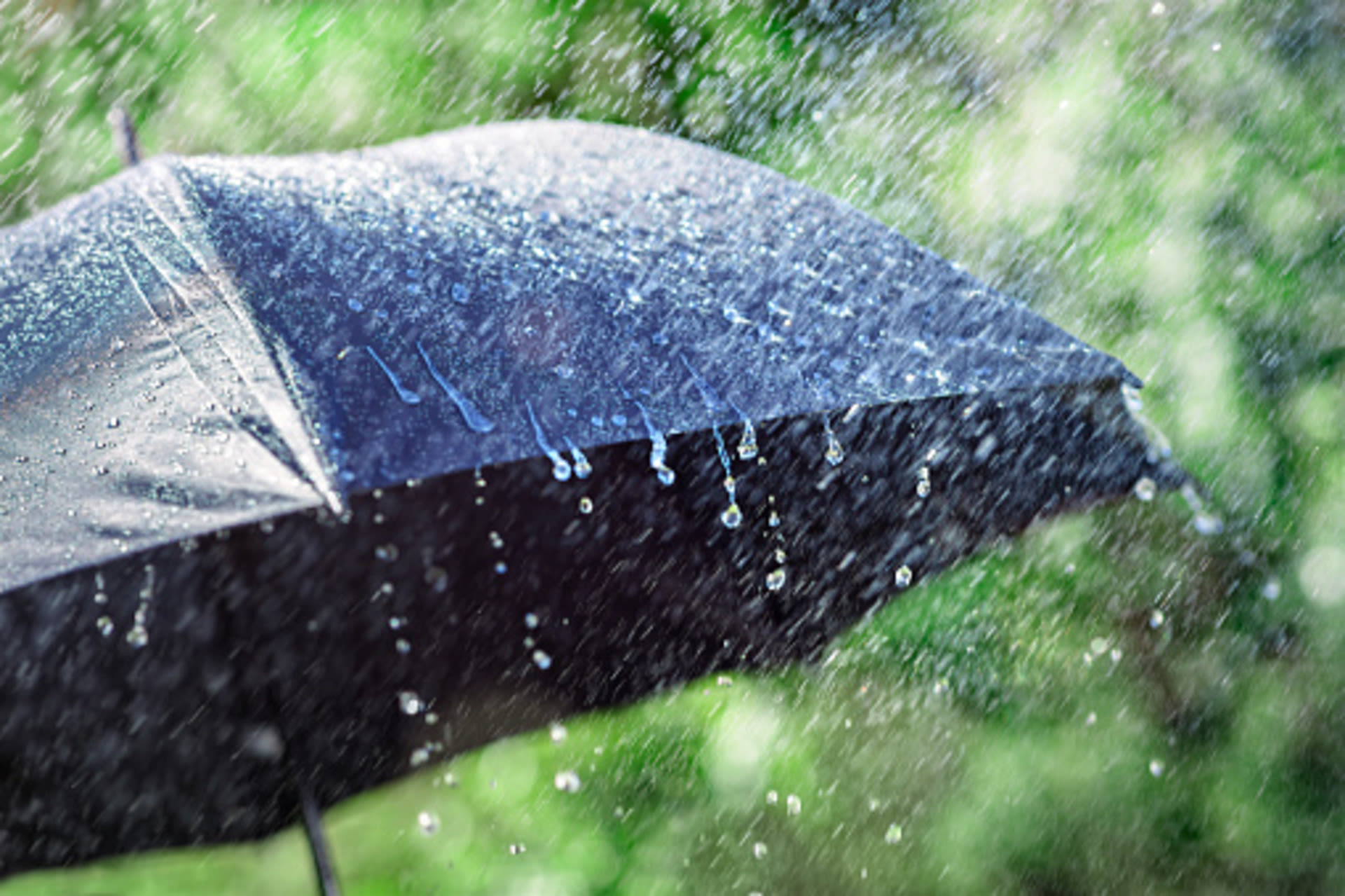 Jusqu'à 50 mm : octobre va se terminer sous la pluie - MétéoMédia
