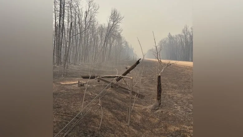 Lac du Bonnet wildfire forces mass evacuation, claims live - The ...