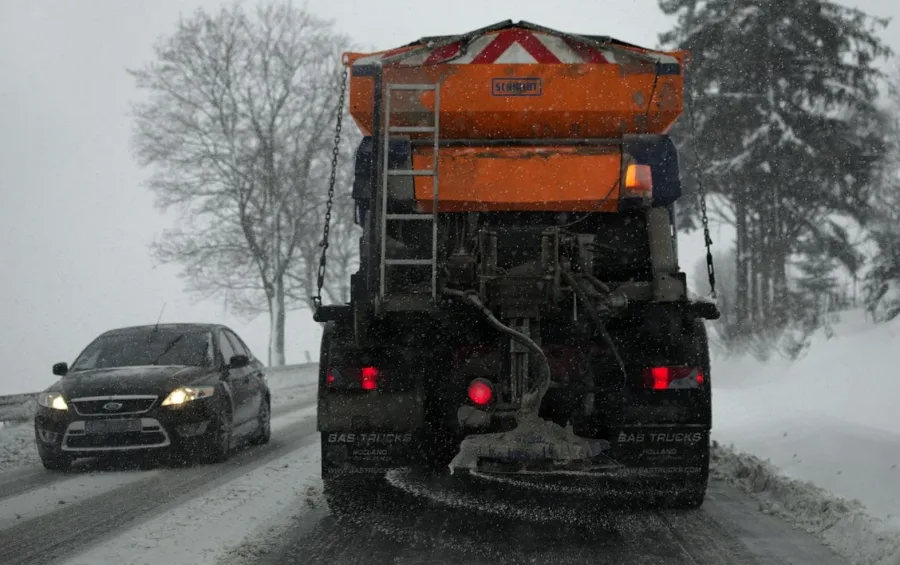 Forget eco-friendly de-icers. Wetlands can diminish road salt runoff ...