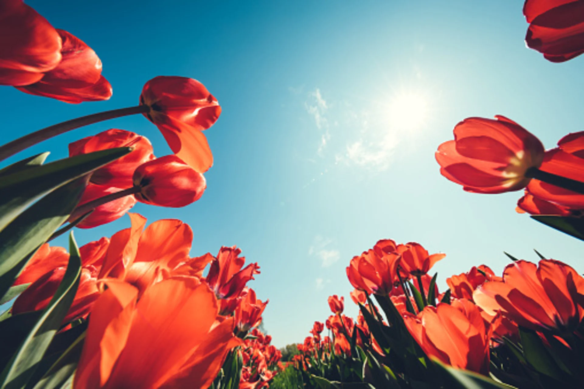 Oshawa's weather forecast: Rain with brighter skies ahead - The Weather ...