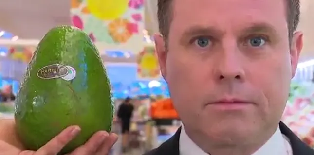 "Avozilla": Giant avocado hits store shelves - The Weather Network
