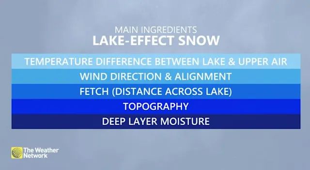 Epic thundersnow captured amid 'electrically active' snow squall - The ...