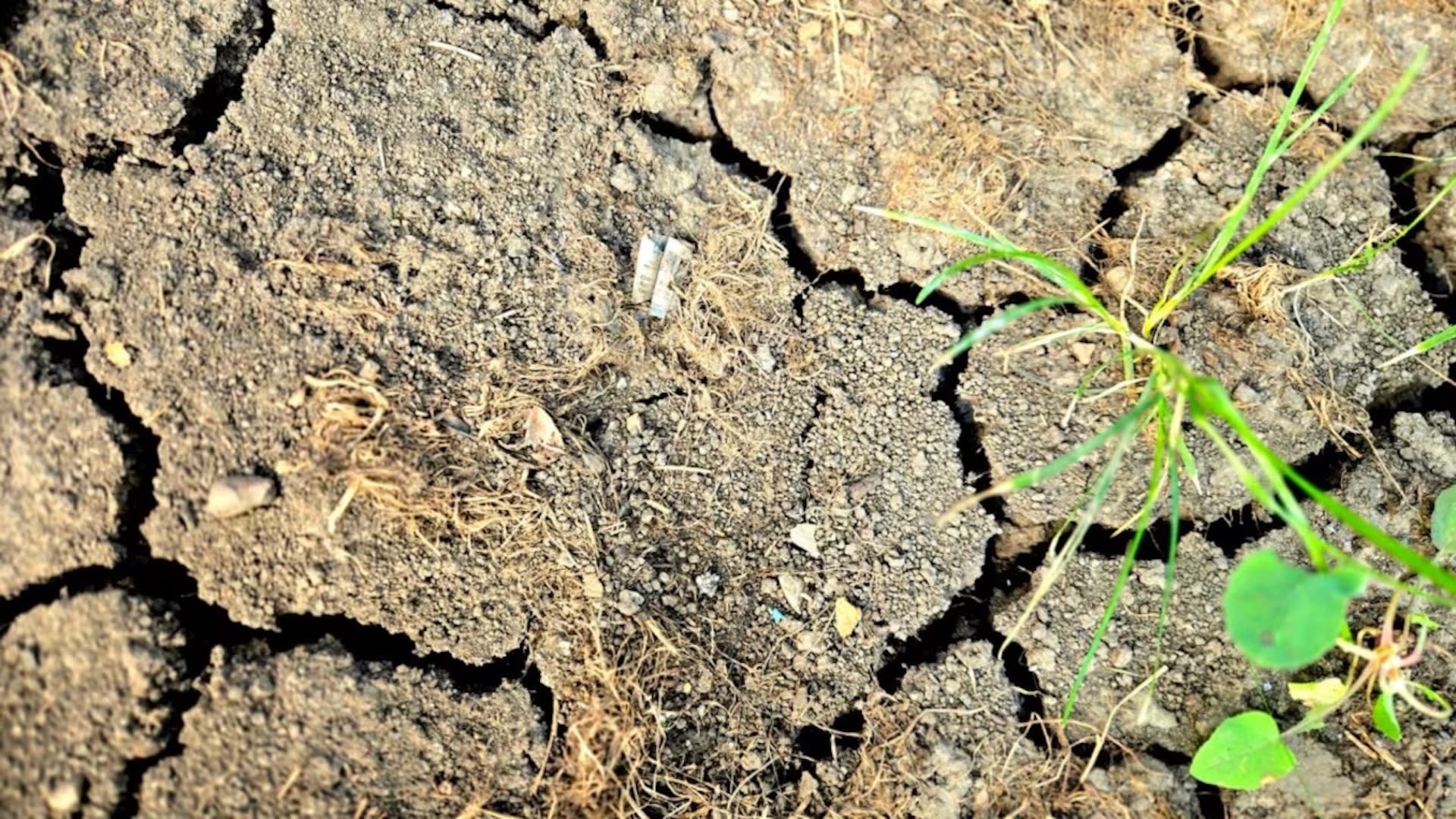 Hot, dry weather drives fire risk in parts of Alberta to extremes - The ...