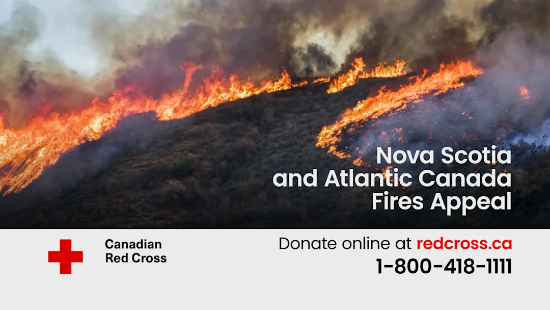 Wildfire smoke sifts into Ontario, Quebec, brings hazardous air quality ...