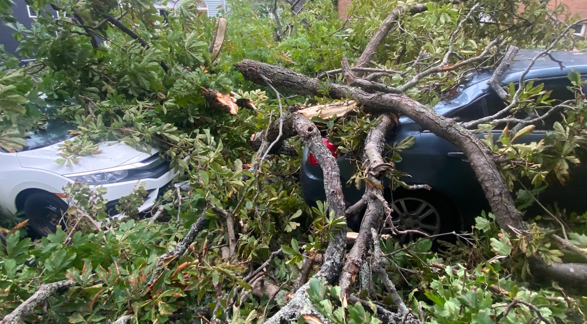 A rare behemoth: Hurricane Lee’s incredible 9,000+ km journey - The ...