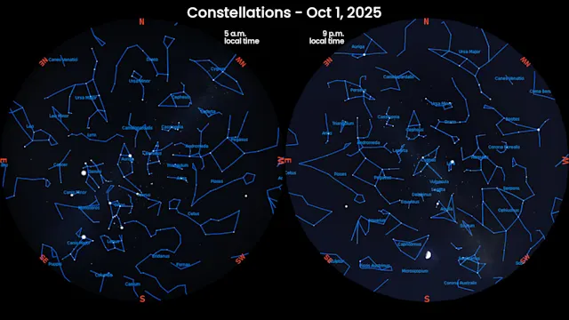 Meteor showers and the Harvest Moon light up our October night skies ...